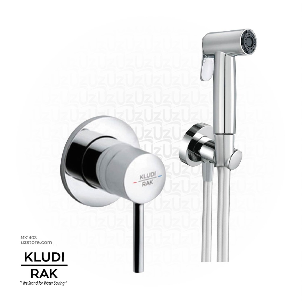 KLUDI RAK ABS shattaf with concealed single lever mixer with pre ...